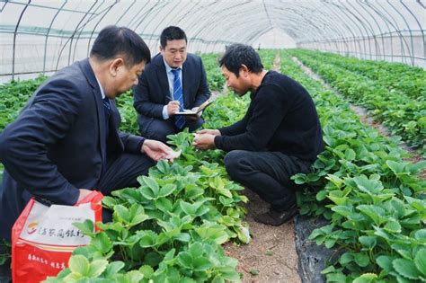 “学习强国”学习平台