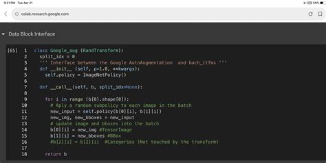 Problem Or Bug With Custom Transformation Used In Batchtfms Fastai Fastai Course Forums