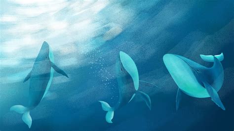 푸른 바다에서 수영 고래 만화 배경 블루 대양 수영 배경 일러스트 및 사진 무료 다운로드 Pngtree