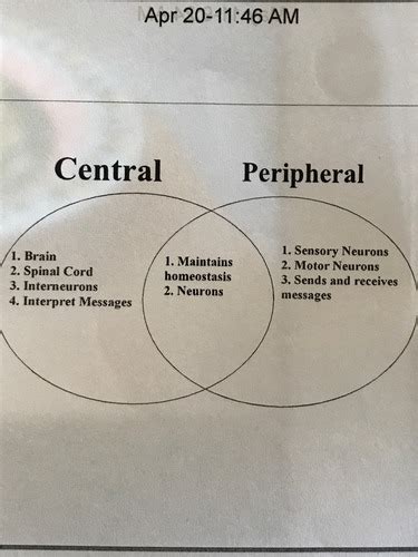 Question Flashcards Quizlet