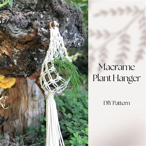 PDF Pattern Macrame Pod Planter Macrame Plant Hanger Tutorial Digital Download Air Plant Nest