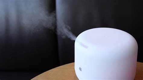 5 Ways To Tell If Your Humidifier Is Working And How To Fix — Miro