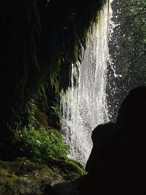 遊記安順黃果樹風景水簾洞瀑布水至清 每日頭條