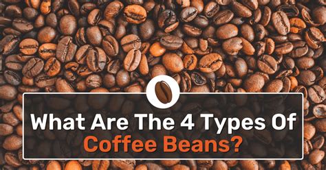 Find Out Where Your Beans Come From And Which Ones Are Right For You