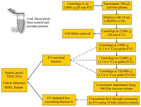 Ev Enrichment And Fractionation Protocol From Blood Using Differential