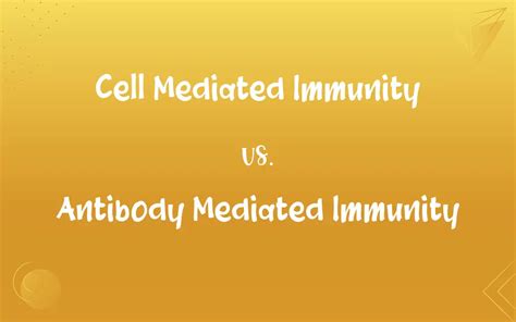 Cell Mediated Immunity Vs Antibody Mediated Immunity Whats The Difference