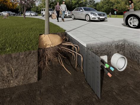 Tree Root Guide GreenMax Green Solutions Tree Root Guide GreenMax Green Solutions