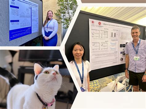 Lingnan Visual Cognition Lab