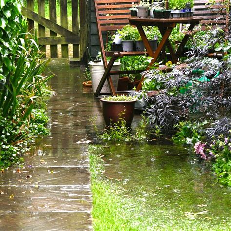 Tips And Information About Environmental Problems Gardening Know How