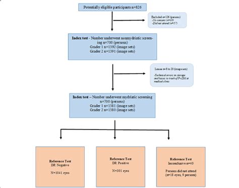 Flow Chart Of The Number Of Participants And Image Sets Used In The Dta Download Scientific
