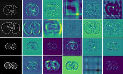 Activation Maps Result On Intermediate Layers Download Scientific Diagram