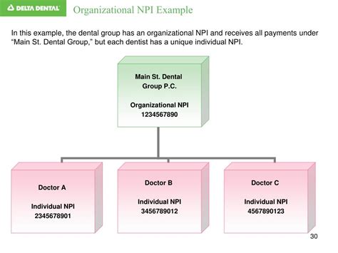 Ppt The National Provider Identifier Npi What Dentists Need To