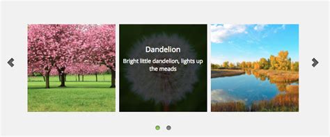 Wordpress Carousel Slider Wordpress Plugin