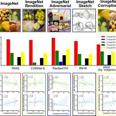 Object Recognition Performance And Neural Predictivity A Example