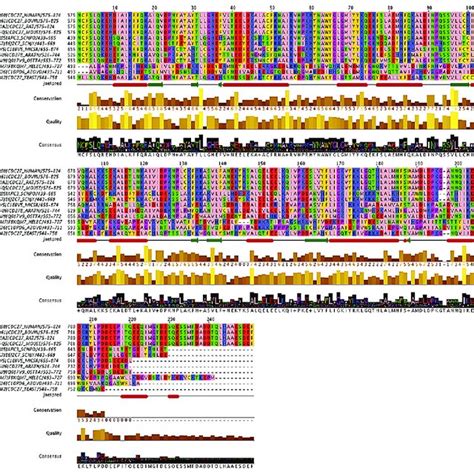Multiple Sequence Alignment Of C Terminal Region Apc3 Sequence Download Scientific Diagram