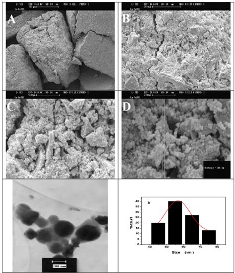 Sem Results Tem Micrograph And Size Distribution Histogram Of Lafe 12