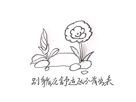 长大不代表成熟 哔哩哔哩