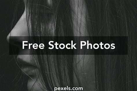 Github Profile Picture Photos Download The Best Free Github Profile