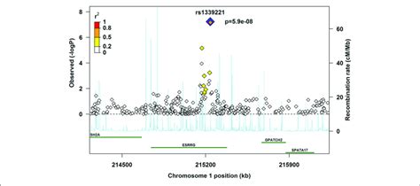 Regional Association Plot To Assess The Strength Of Association And Download Scientific Regional Association Plot To Assess The Strength Of Association And Download Scientific
