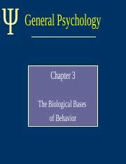 Psych Chapter The Biological Bases Of Behavior Ppt General Psychology Chapter The