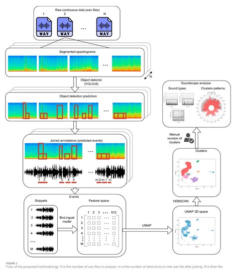 Figure 1 from Machine learning for ef ﬁ cient segregation and labeling of potential biological