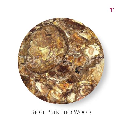 Beige Petrified Wood Table Top Counter Top Healing Wood For Home And