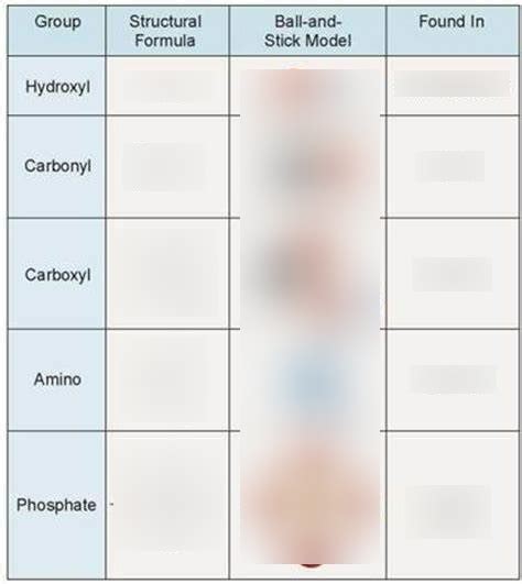 Biology Functional Groups Diagram Diagram Quizlet