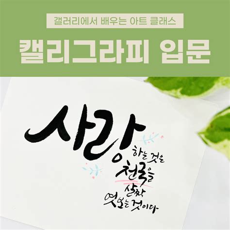 캘리그라피학원 캘리그라피배우기 캘리그라피강의