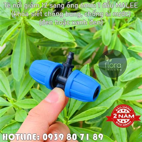 B Combo T I C Y T Ng U T I Tia Malee Th I Lan B