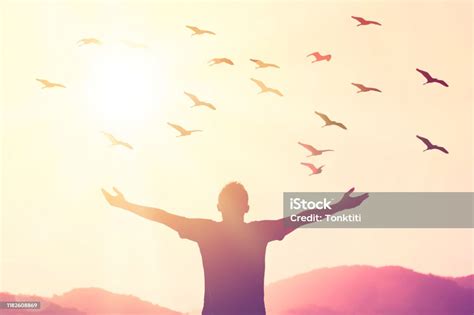 자유는 기분이 좋고 여행 모험 개념 산과 새의 상단에 일몰 하늘에 손을 상승 실루엣 남자의 공간을 복사 추상적 인 배경을 비행 감사에 대한 스톡 사진 및 기타 이미지