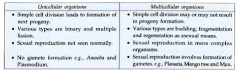 Unicellular And Multicellular Organisms Examples