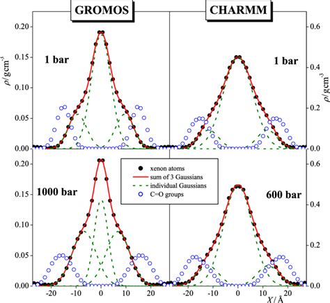 Mass Density Profile Of The Xenon Atoms In The Dppc Membranes