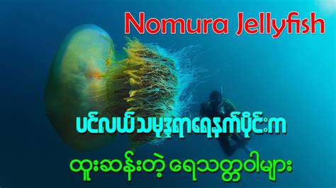 ပင်လယ်၊ သမုဒ္ဒရာရေနက်ပိုင်းက ထူးဆန်းတဲ့ ရေသတ္တဝါများ Youtube