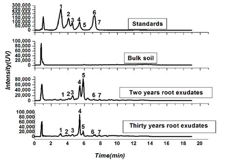 High Performance Liquid Chromatographyelectrospray Ionizationmass Download Scientific Diagram