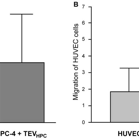 Migration Of Hpc 4 A And Huvec B Cells To Tev Hpc 30 μg Ml Download Scientific Diagram