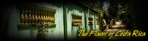 Joseph Lust Designs Llc Images