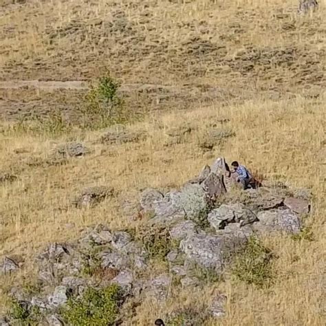 Deneme Object Detection Dataset By Ssb