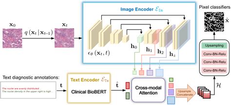 논문 리뷰 Enhancing Label Efficient Medical Image Segmentation With Text