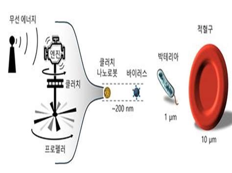 우리 몸속서 자율주행하며 질병 치료하는 로봇 현실화한다