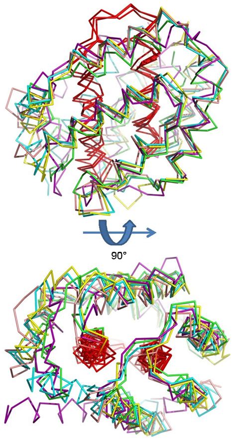 Structural Superposition Of Colicin Pore Forming Domains Ribbon Download Scientific Diagram