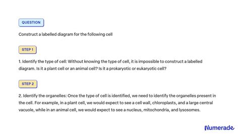 Solved Construct A Labelled Diagram For The Following Cell