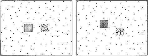 Schematic Representation Of Two Examples Of The Target Cue Display In