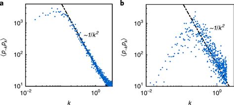 Momentum Correlation Function Ab 〈p−ktpkt〉 At Late Times For Download Scientific Diagram