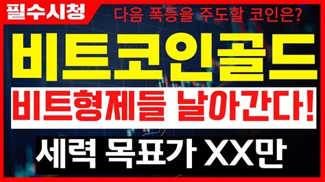비트코인골드🔥엄청나다 비트코인 형제들 깜놀할 작전세력 목표가 Xx만 여기까지 갑니다 비트코인골드 코인 전망 호재 목표가 대응 실시간 차트 분석 Youtube