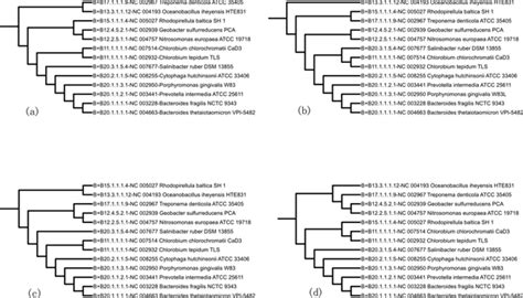 Phylogenetic Trees Based On Different Gene Selections A Phylogenetic Download Scientific