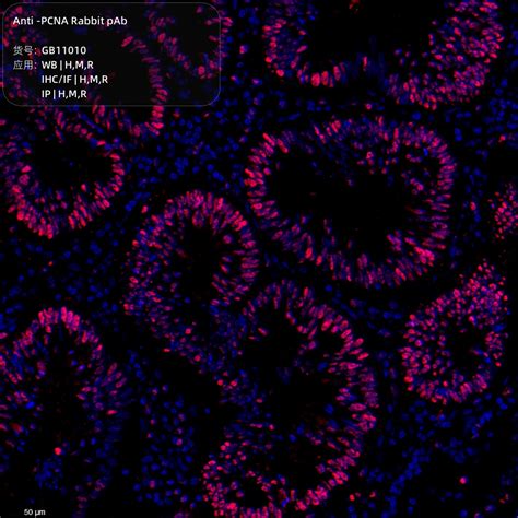 One Stop Supplier Of Life Science Products