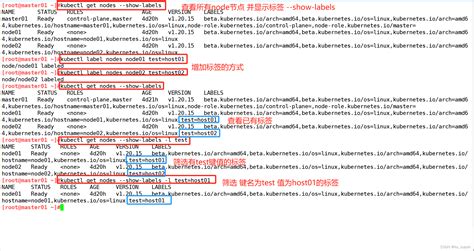 【kubernetes】关于k8s集群如何将pod调度到指定node节点？pod指定node Csdn博客