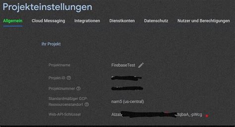 My App Keeps Crashing Even In Ai Companion Mode Can Anyone Please Help Bugs And Other