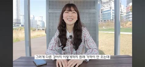 [잡담] 가요이님 이때 머리 하고 싶은데 반곱슬에 숱 많으면 해그리드 될까 인스티즈 Instiz 일상 카테고리