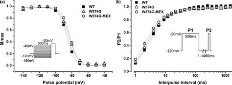 Steady‐state Inactivation And Recovery From Inactivation Of Wt‐ina